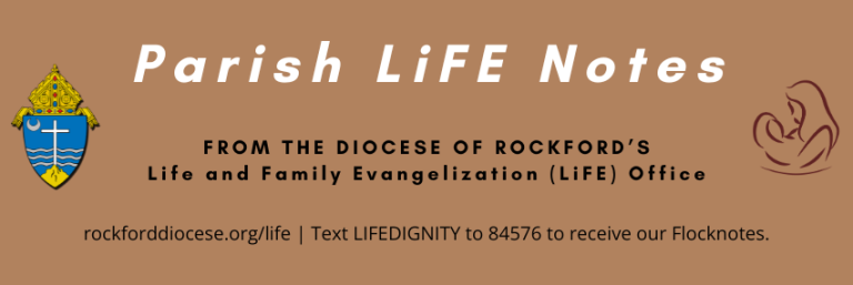 Parish LiFE Notes - Life & Family Evangelization Office